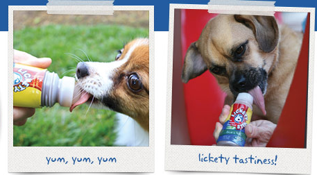 FREE Lickety Stik for your Dog or Cat! - Wheel N Deal Mama