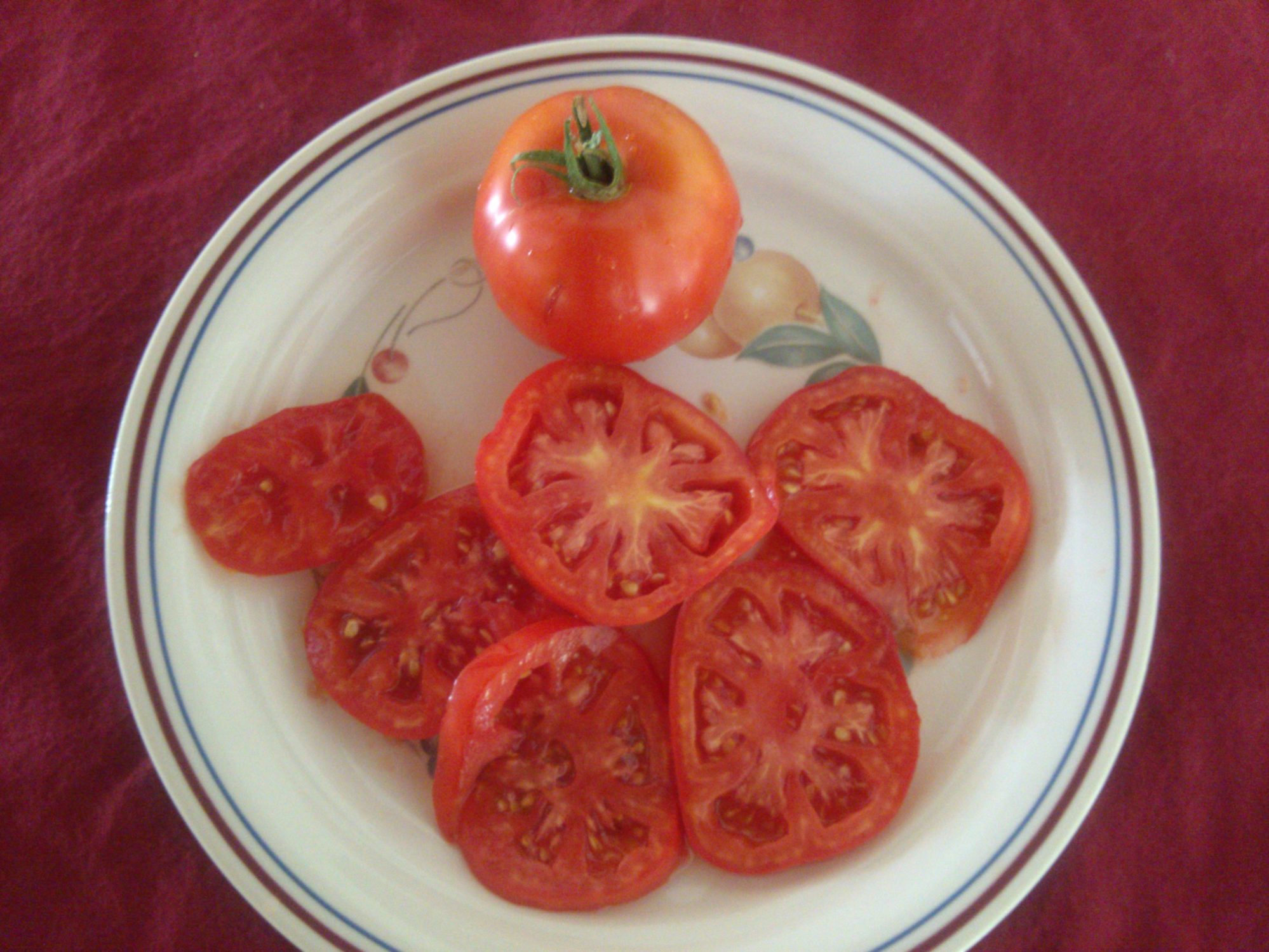 Sun-Ripened Tomatoes from the Kiddie-Pool Garden! - Wheel N Deal Mama