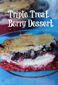 Triple Treat Berry Dessert - Wheel N Deal Mama