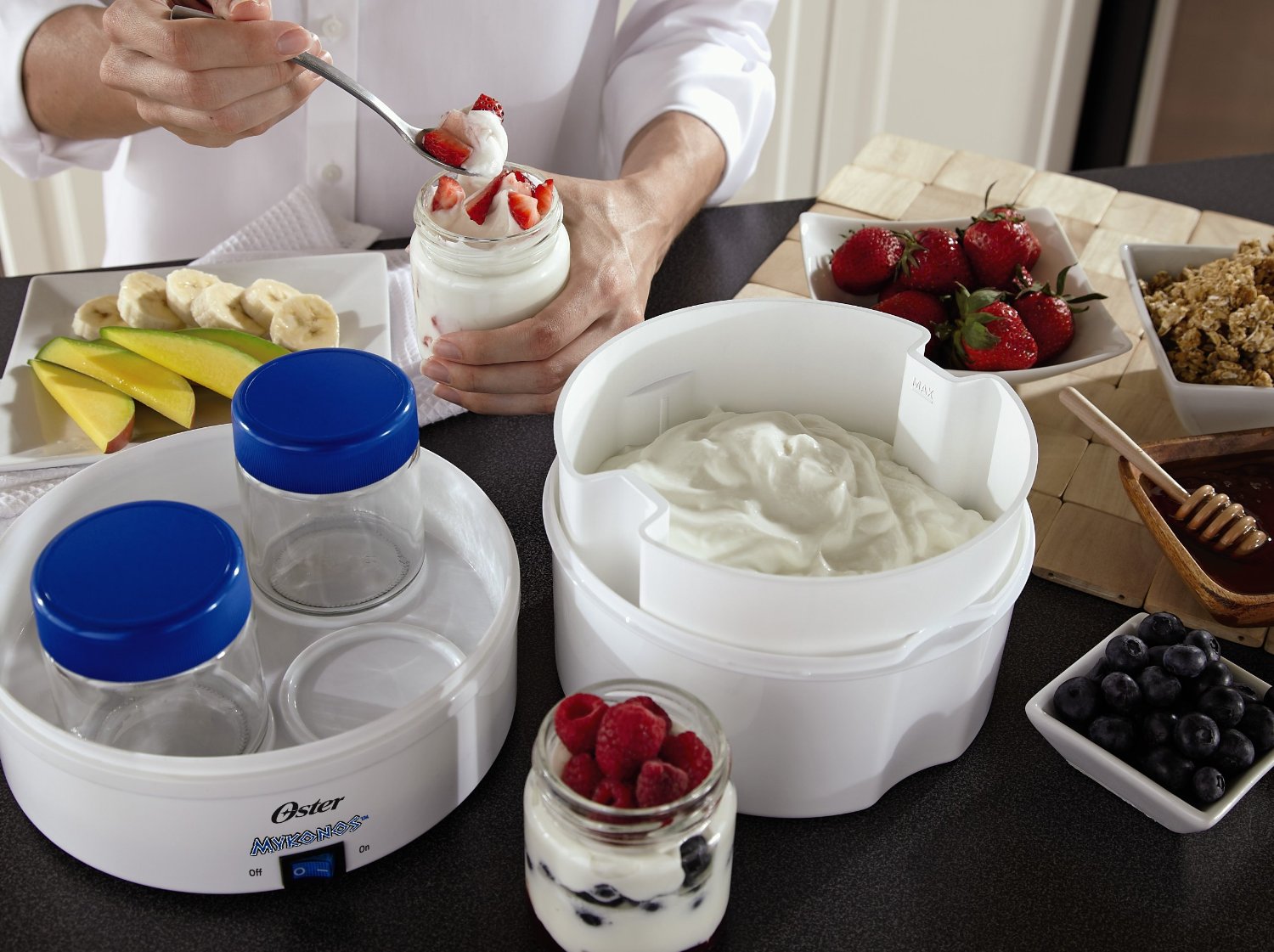 Oster Greek Manual Yogurt Maker only $22.14! (Reg. $39.99) - Wheel N ...