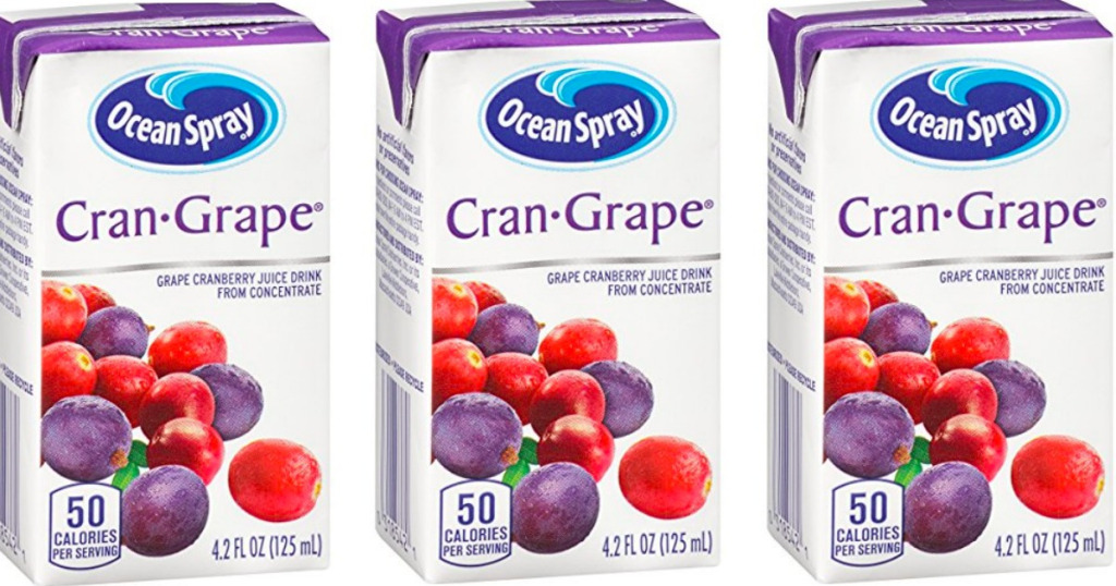 Ocean Spray Juice Boxes 40-Pack $12.04 Shipped - Wheel N Deal Mama